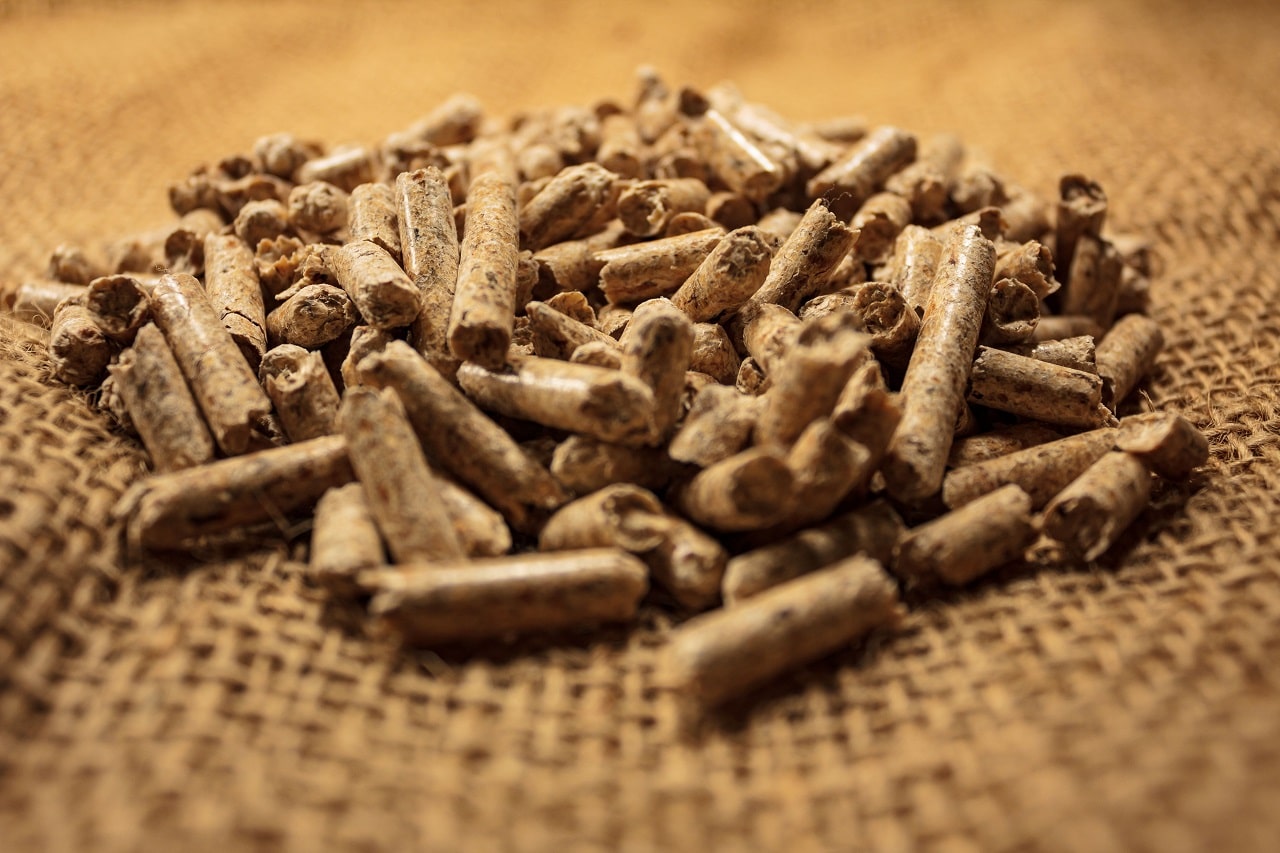 5 éléments indispensables à vérifier avant d'acheter ses granulés / pellets
